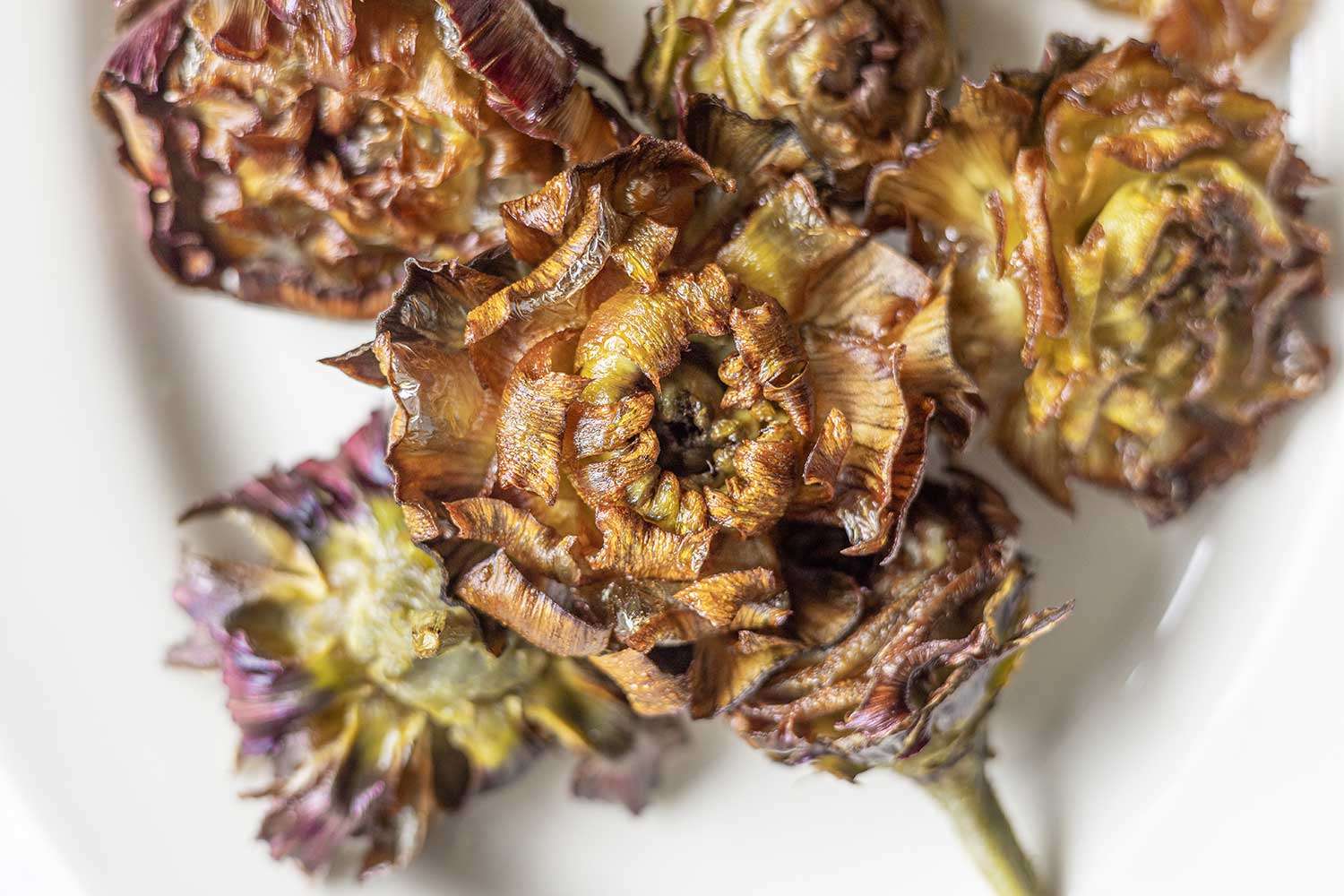 Food & Drinks in Rome: What to Eat and Where to Go - About Manet Travel